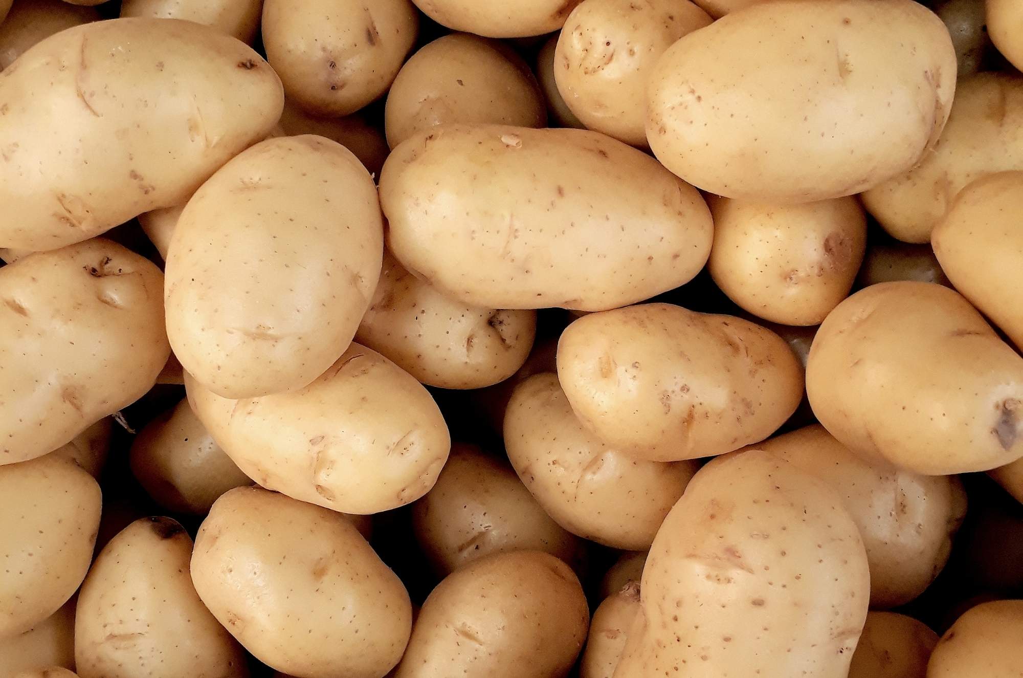 Benefici, proprietà e valori nutrizionali delle patate | Mi Alimento